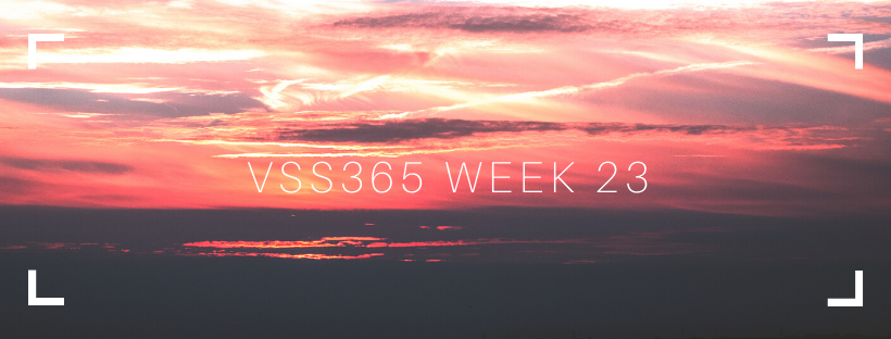 VSS365 Week 23 – Lisa Stapleton